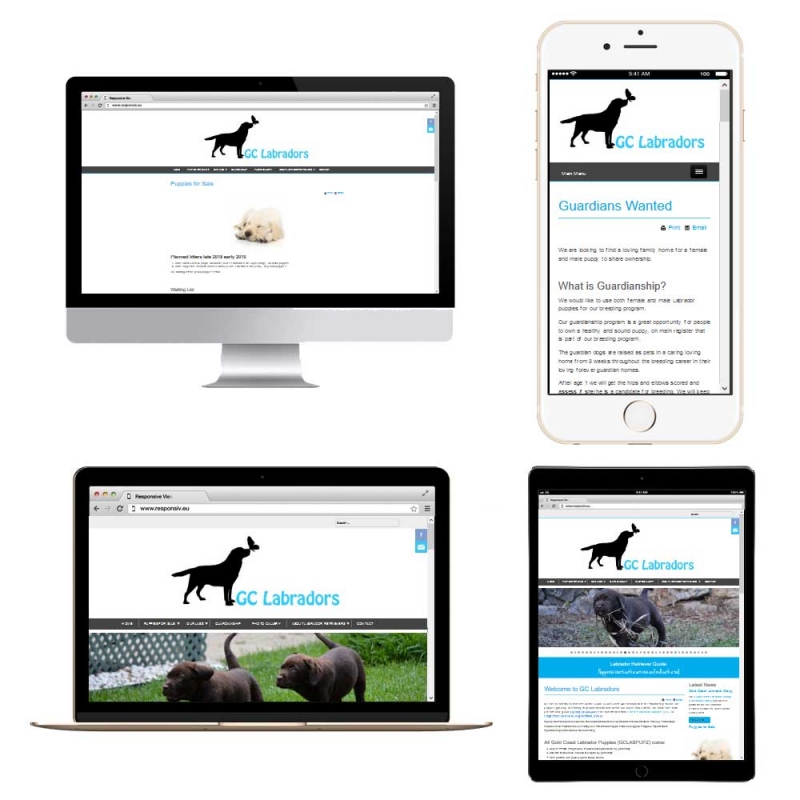 GC Labradors – Get Virtual – Virtual Assistant, Experienced with Web ...